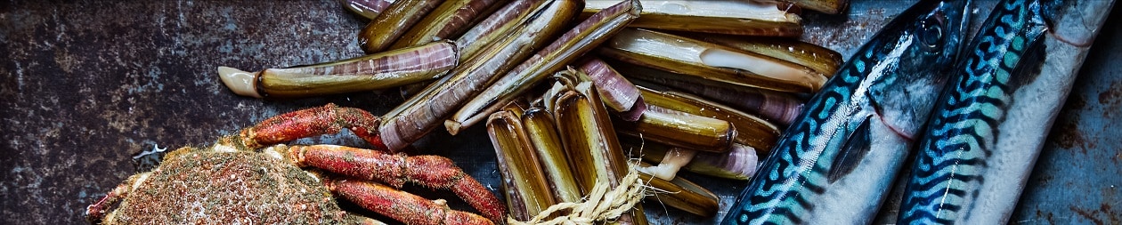 Sustainable Fish for Chefs: What to Choose For Your Menus
